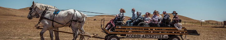 Submit a Wish
